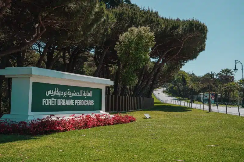 Tanger CAN 2025 : guide complet transports, hôtels et visites