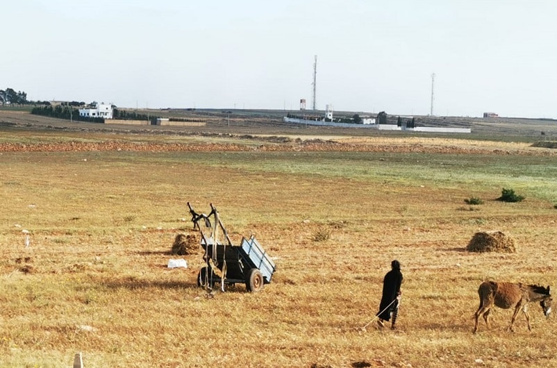 CREM. Une approche indispensable au développement rural